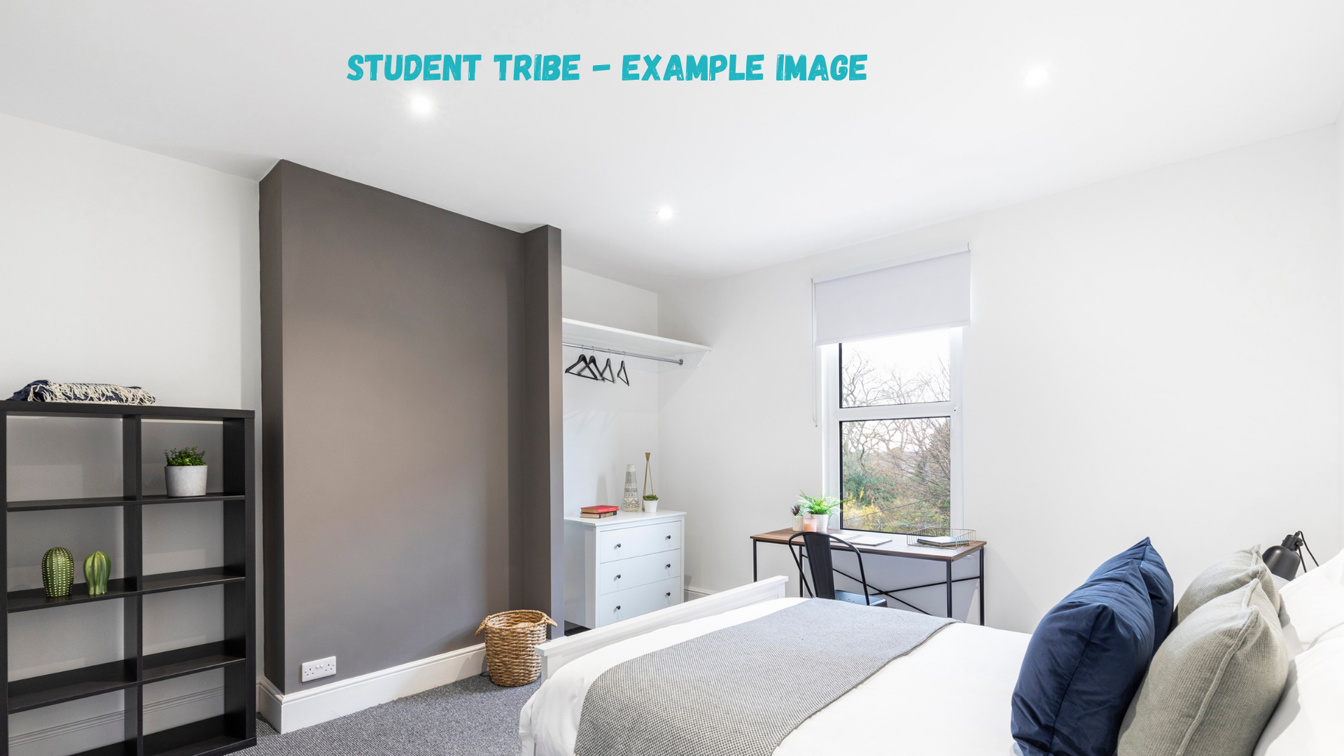 Bank Street, Flat 3 - Student Tribe